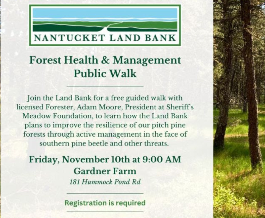 Forest Health & Management Public Walk – Nantucket Events